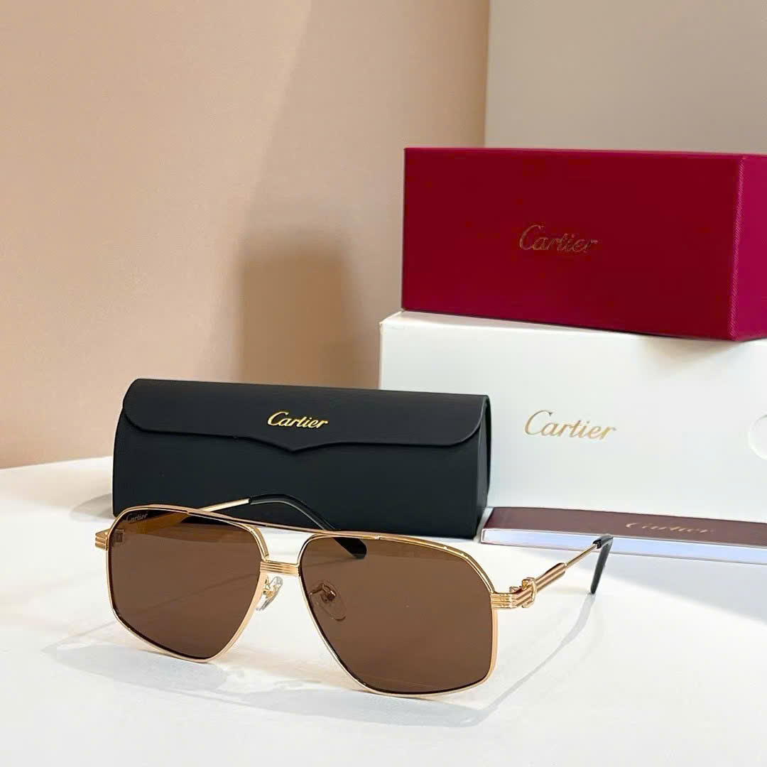 Cartier Sunglasses CT0207S - Replica Bags and Shoes online Store ...